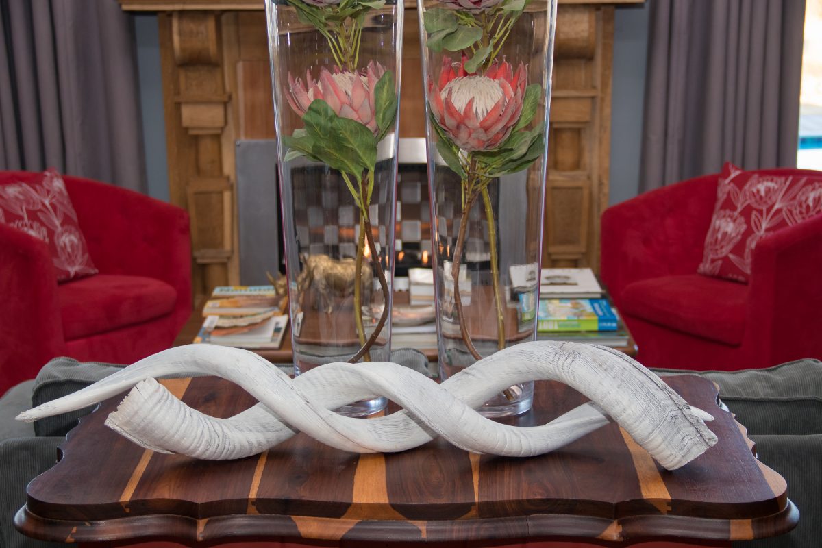 Gallery - Game View Lodge